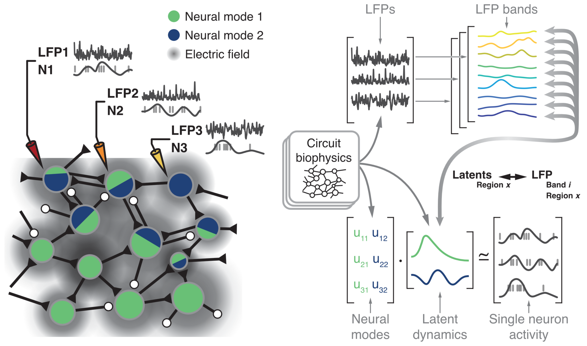 Publications – Be.Neural Lab